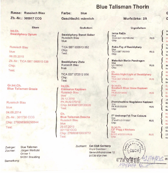 Rodokmeny :: Saint-bleu